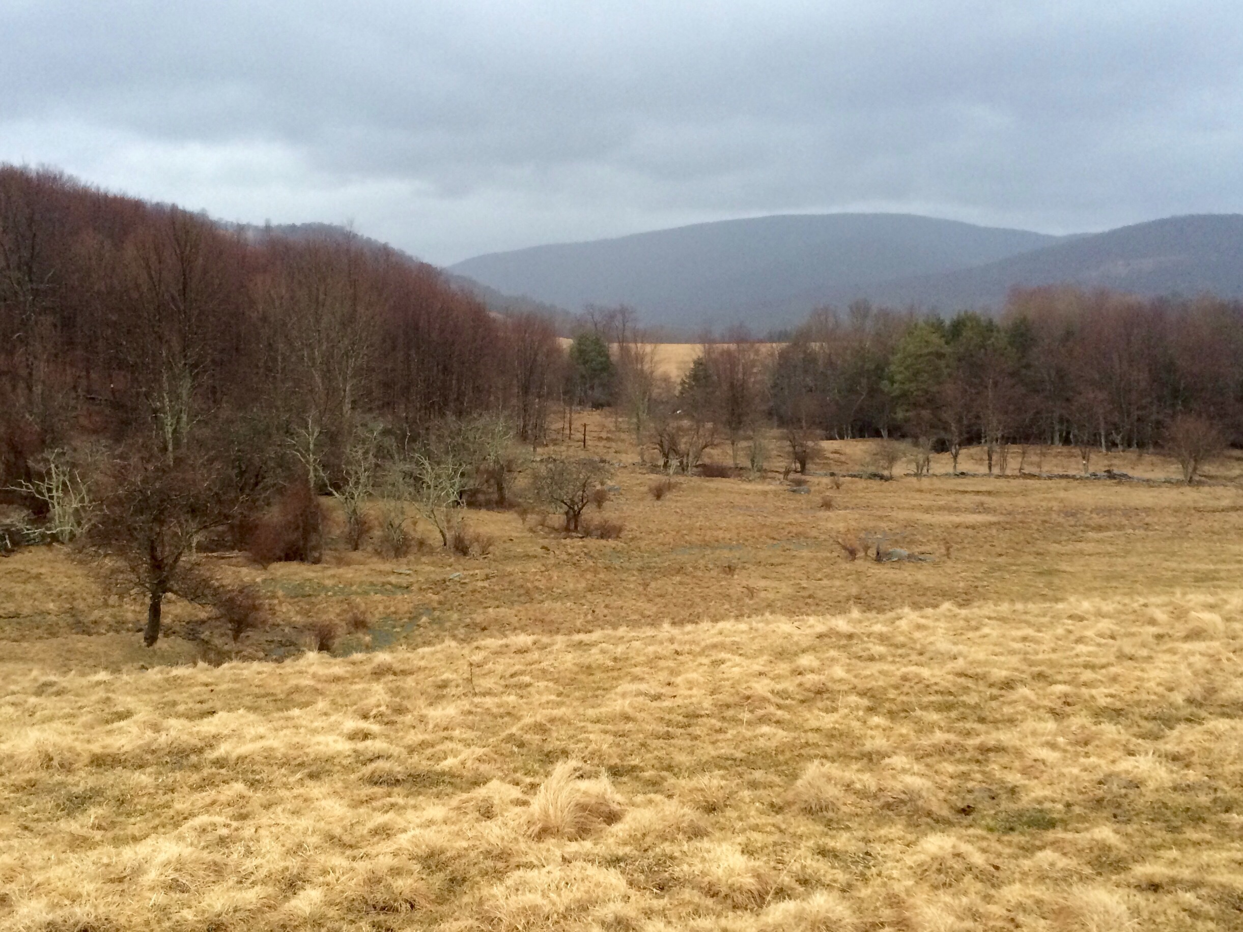 Early April – Mountain Spring | ManicDDaily